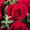 Bouquet de fleur rouge | Amour infini : 12 fleurs rouges