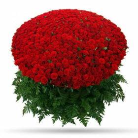 Panier 50 Roses Rouges Fraîches - Livraison Rapide